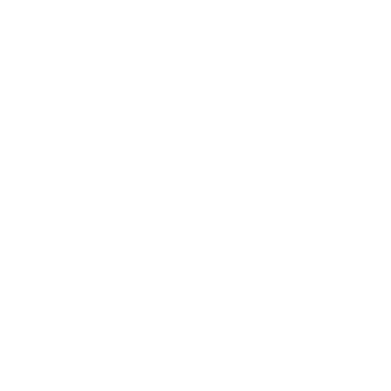 WEBEXP – WEBEXP, LLC